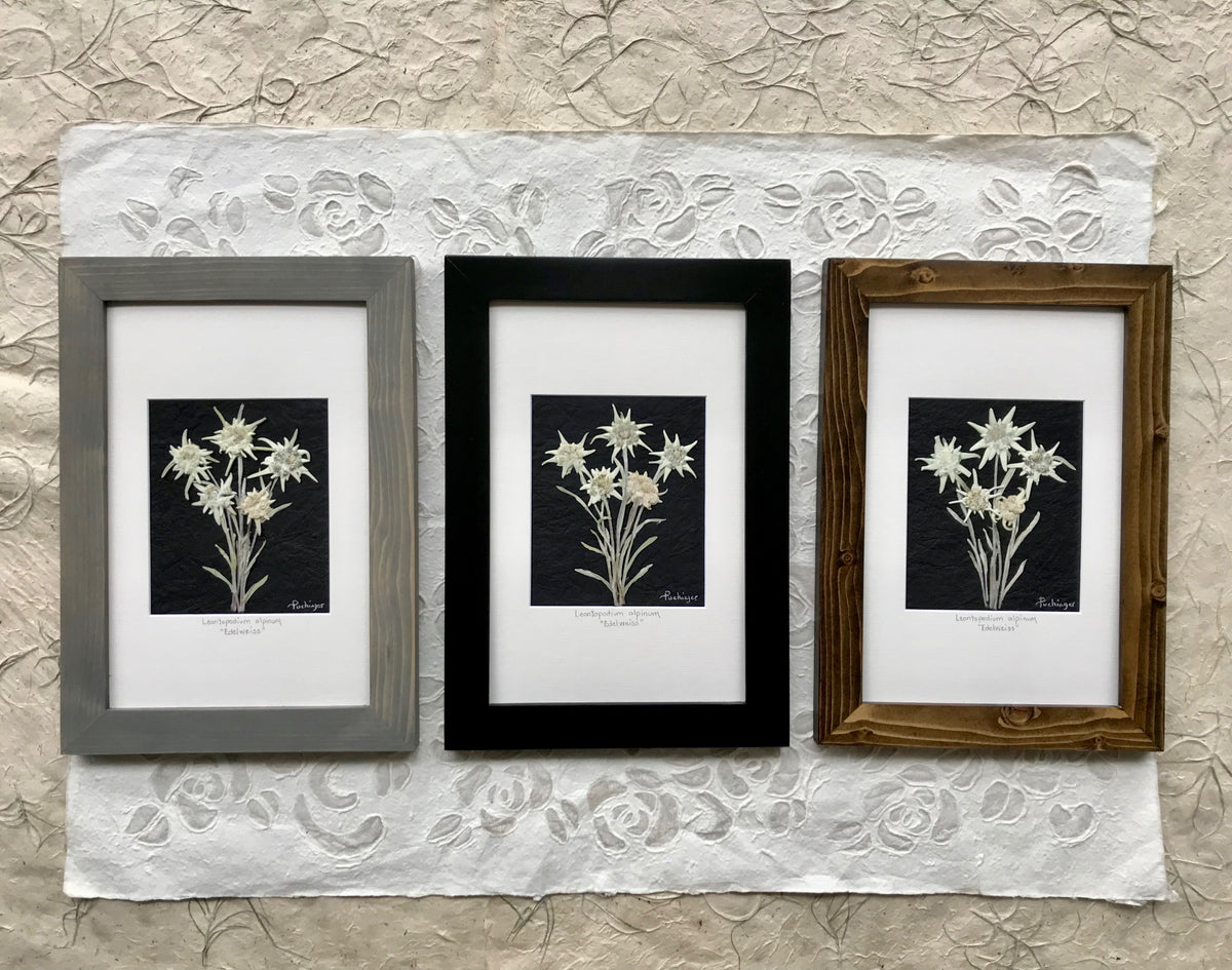 Home Decor – Pressed Wishes