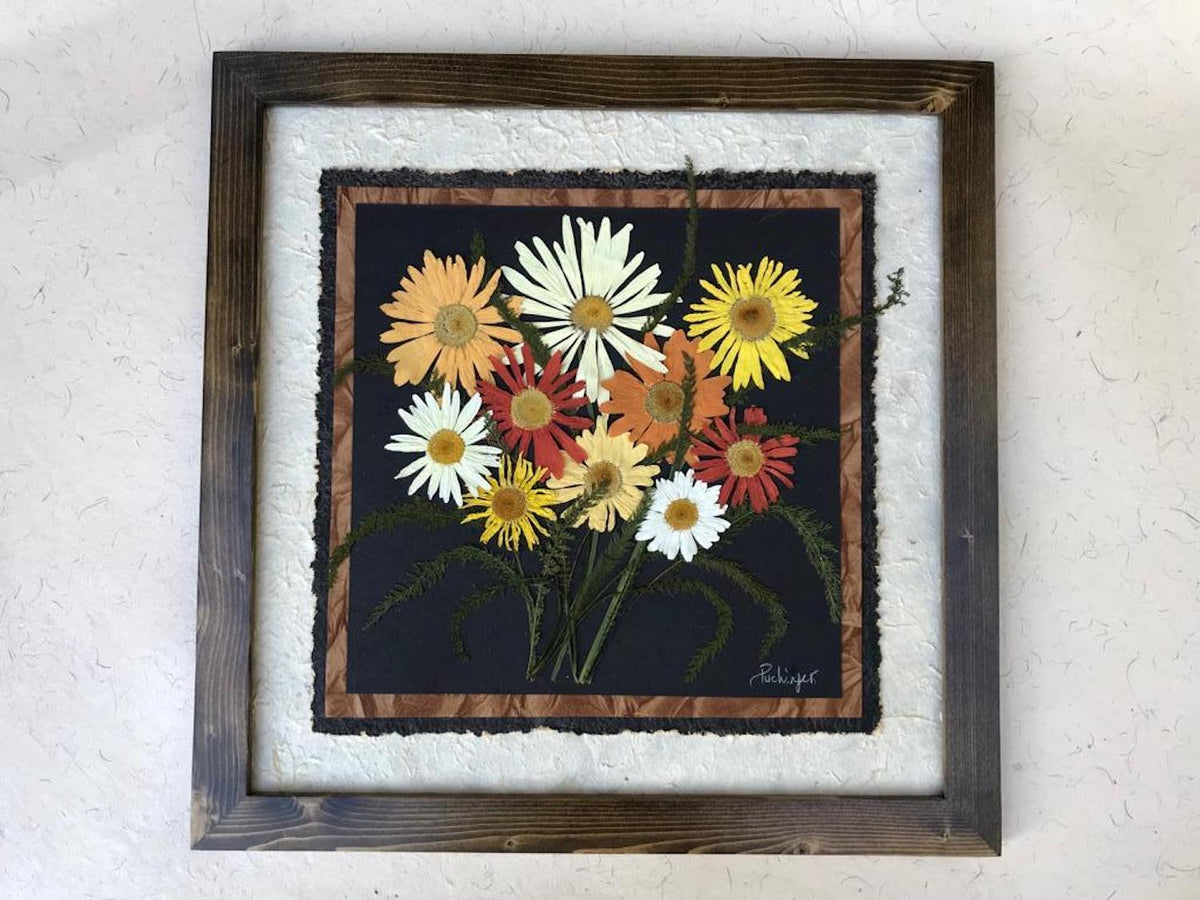 Real Pressed Shasta Daisy Framed Artwork SIGNED ORIGINAL – Pressed Wishes