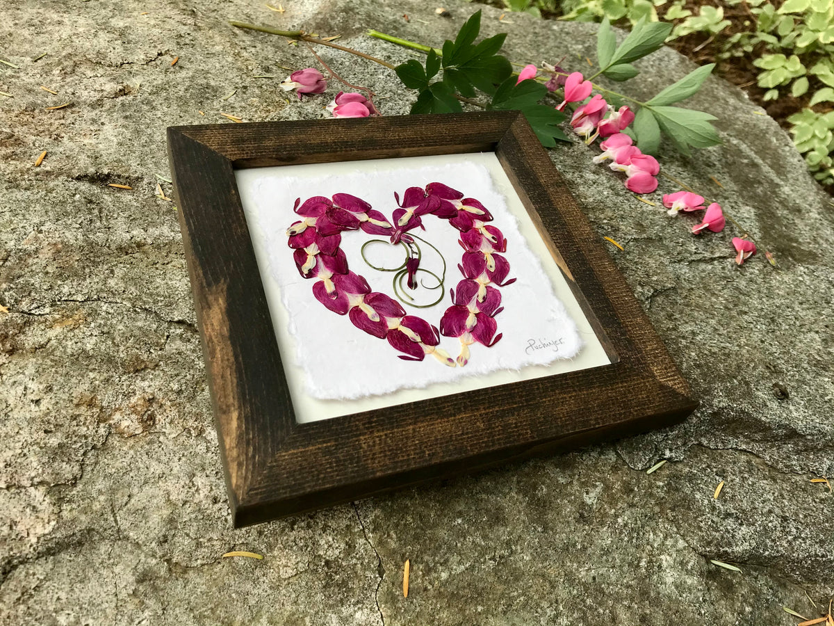 Real Pressed Bleeding Heart Framed Picture by Pressed Wishes