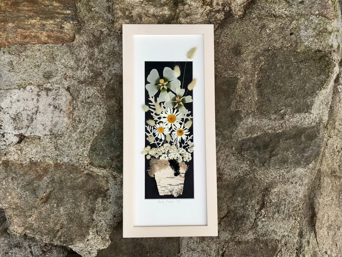 Real Pressed Flower Daisy Birch Planter Pot Framed Picture – Pressed Wishes