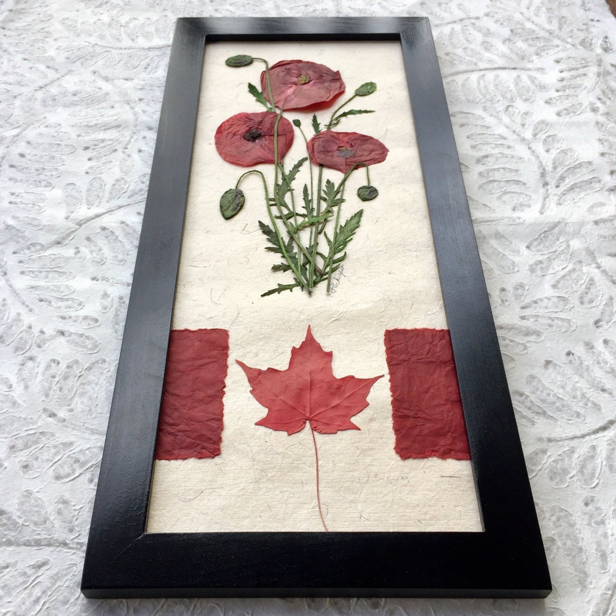 Pressed Flander's Red Poppy with Canadian Flag Pressed Flower Wall Art ...