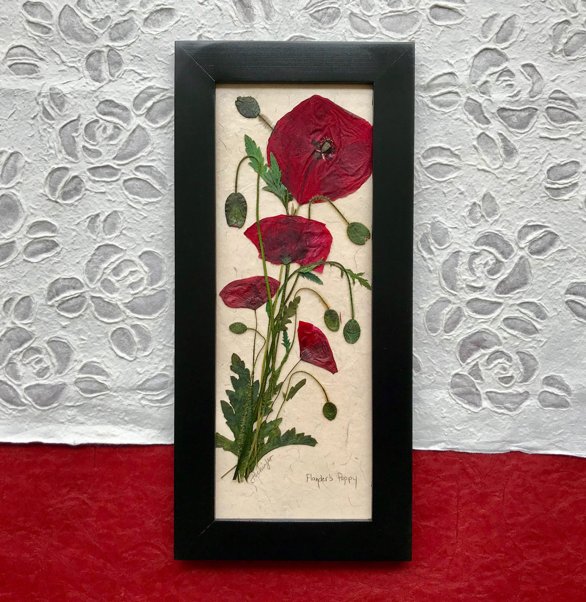 Real Pressed Flander's Field Poppy SIGNED ORIGINAL Framed Artwork ...