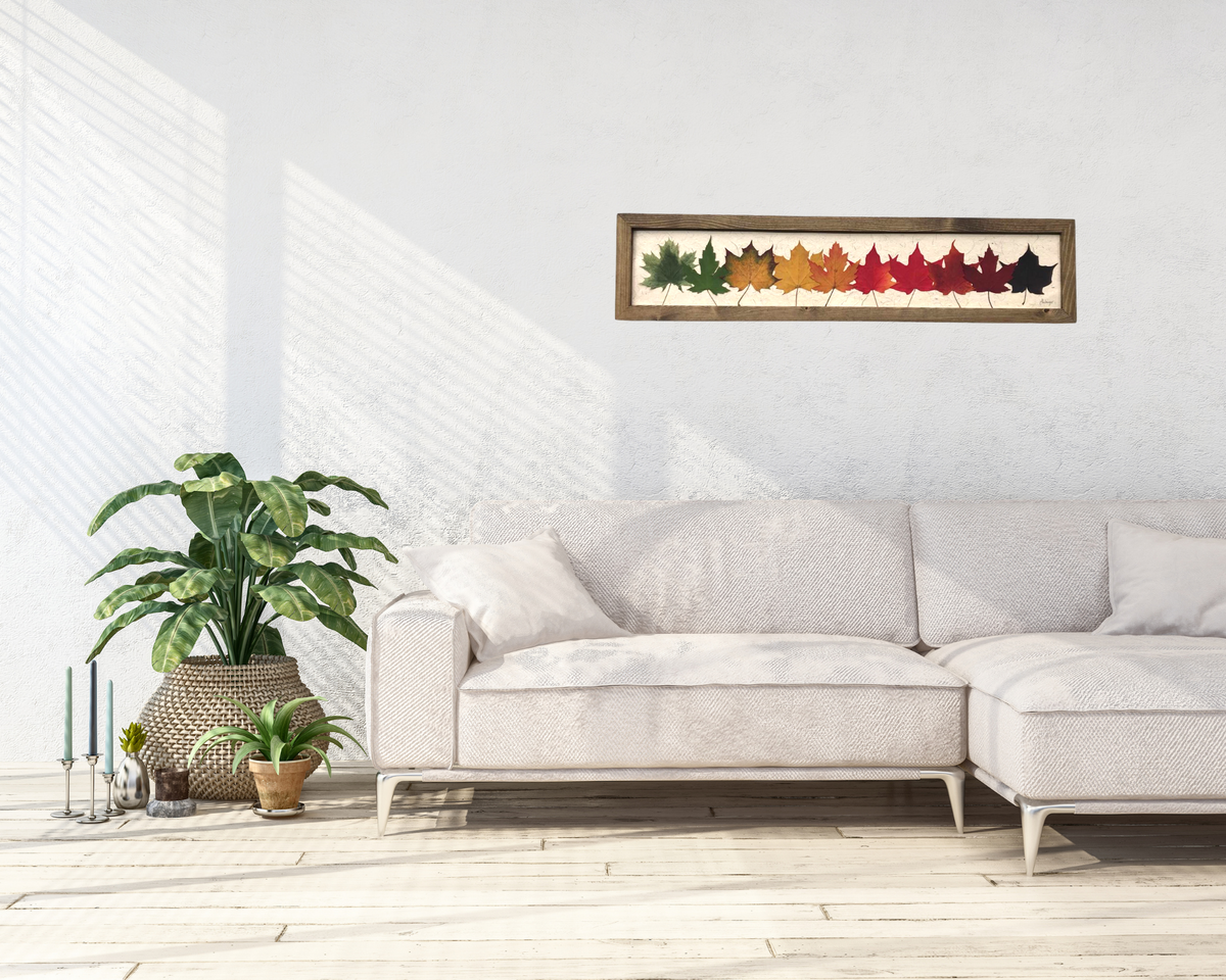 Real Pressed Rainbow Maple Leaf Framed Artwork by Pressed Wishes