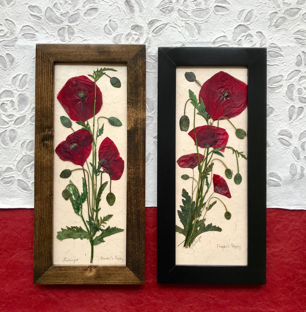 Real Pressed Flander's Field Poppy SIGNED ORIGINAL Framed Artwork ...