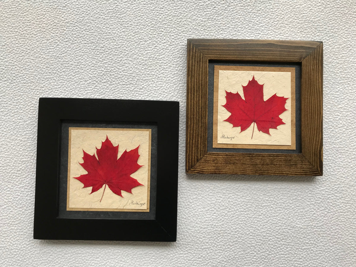 Real Pressed Maple Leaf Framed Art; Made in Canada – Pressed Wishes