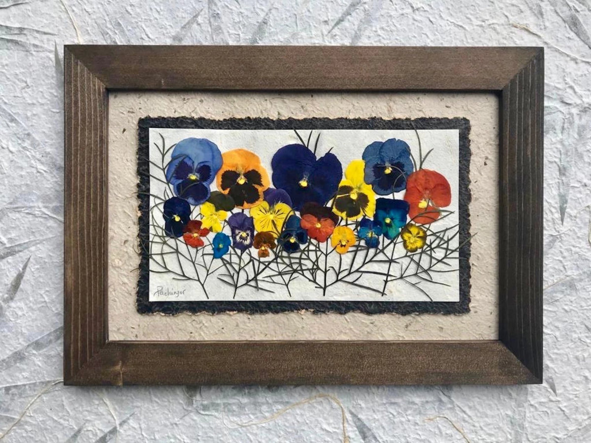 Real Pressed Pansy Panoramic, Handmade SIGNED ORIGINAL Pressed Flowers ...