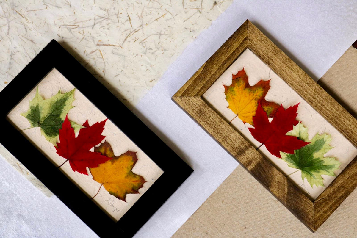Real Pressed Maple Leaf Home Decor Original by Pressed Wishes